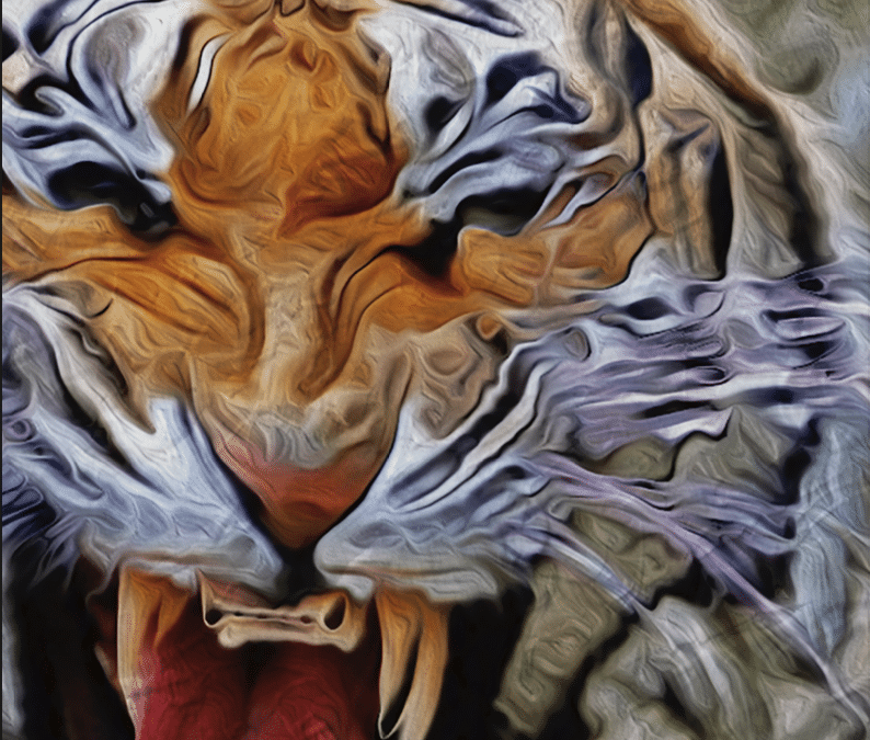 Issues | River Teeth